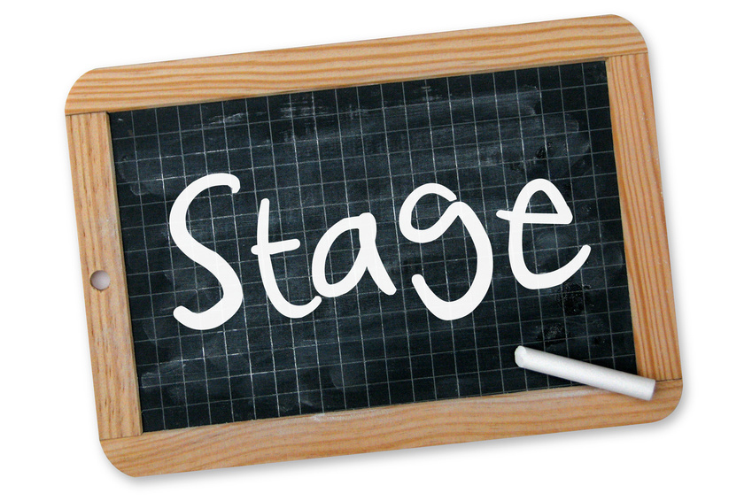 Stages :: Portefeuille de competences ludovic thereaux